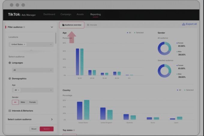 TikTok's New Tool Gives Businesses Helpful Audience Insights